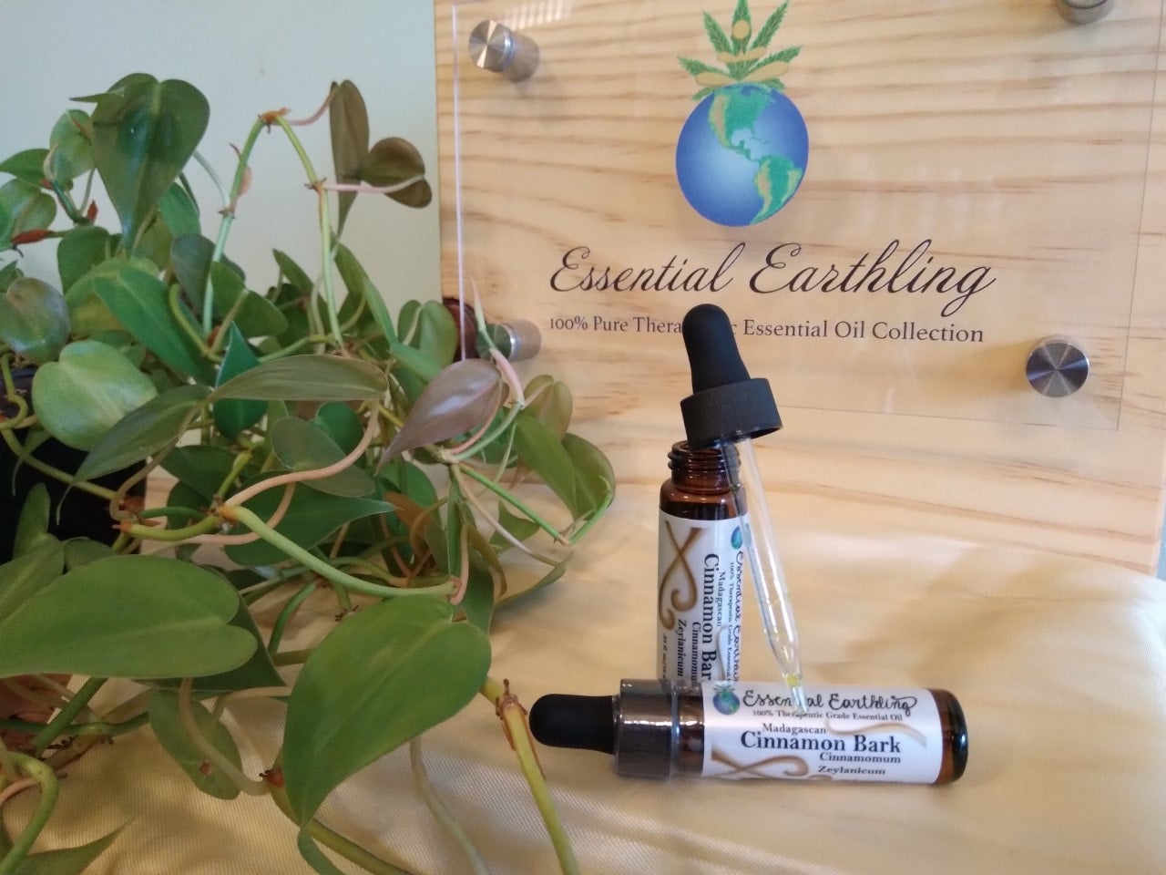 Essential Earthling Cinnamon Bark | The Organic Earthling