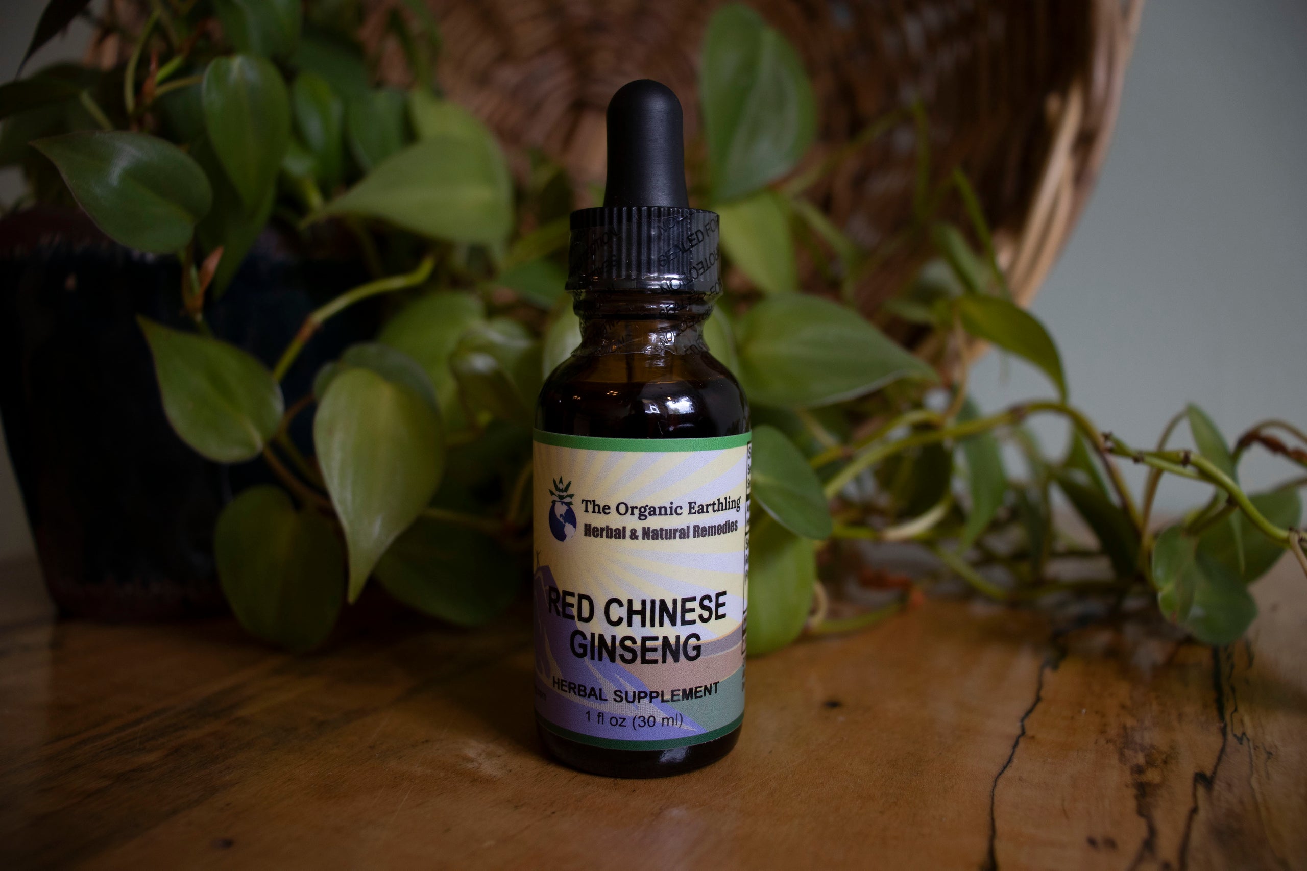 Red Chinese Ginseng Liquid Extract 1 oz. | The Organic Earthling