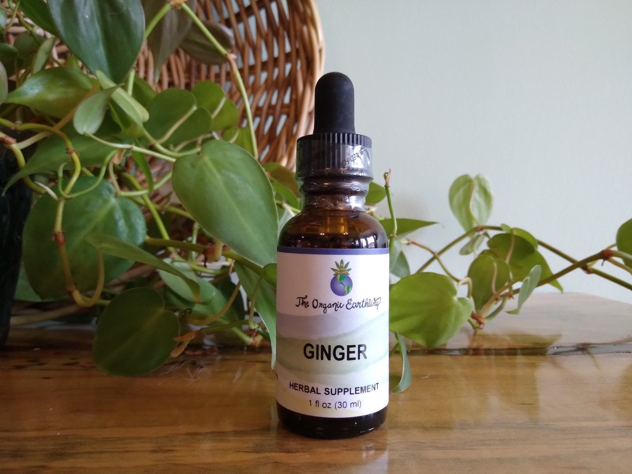 Liquid Ginger 1oz | The Organic Earthling